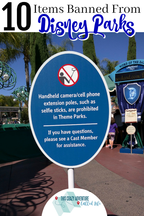 Items Banned at Disney - Truth vs Rumor | Expert Disneyland Tips