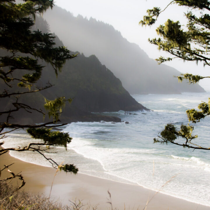 2023 Spring Break Ideas: 10 West Coast Destinations You'll Love