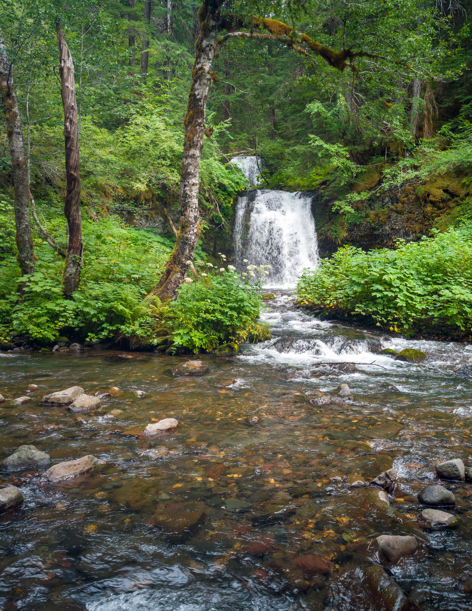 Best Waterfall Hikes in Western Washington | Outdoors Pacific NW