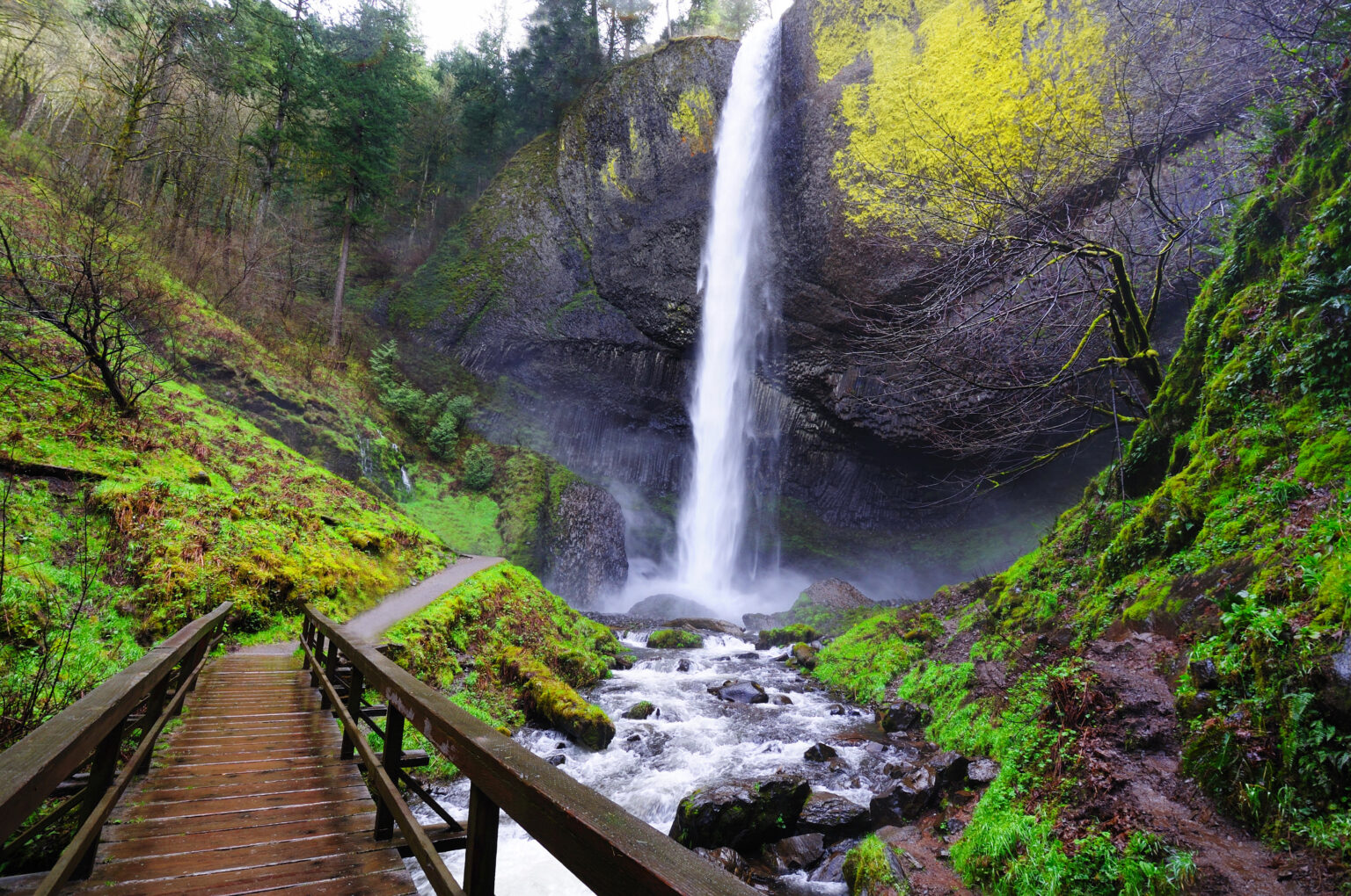 Best Waterfall Hikes In the Columbia River Gorge Scenic Area in Oregon ...