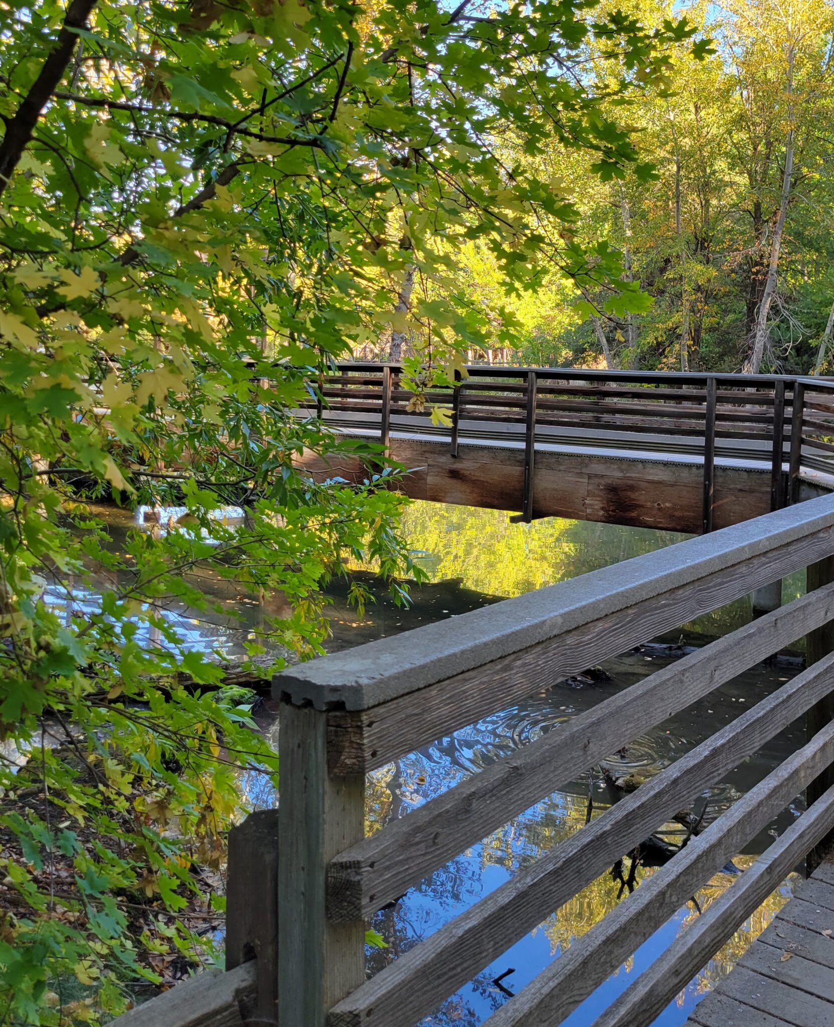 67+ Fun Things to Do In Boise This Summer, From A Local - This Crazy ...